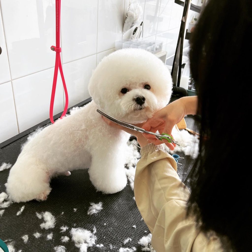 Deep Clean (For Double Coat Breed)